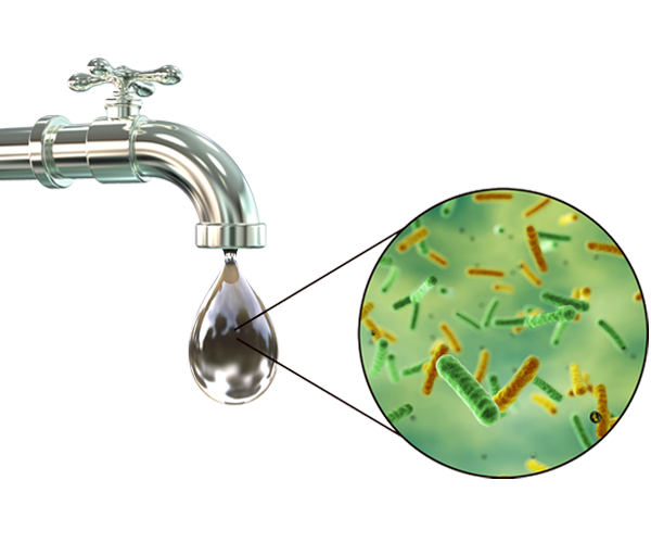 Age- Less Shower Spa – Healthy Hydration
